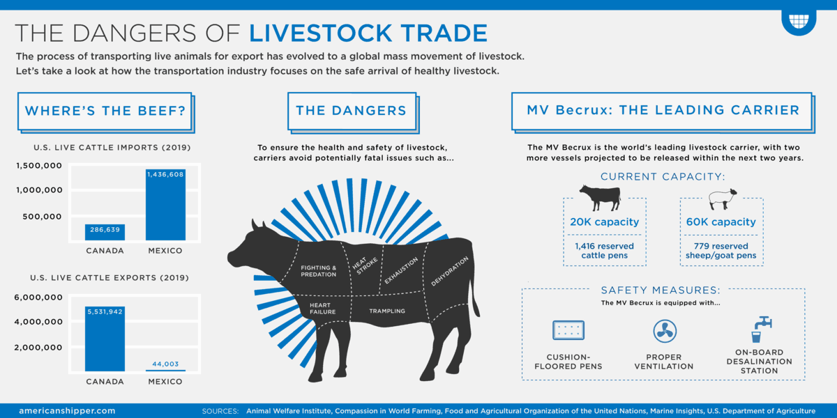 The Dangers of Livestock Trade - FreightWaves