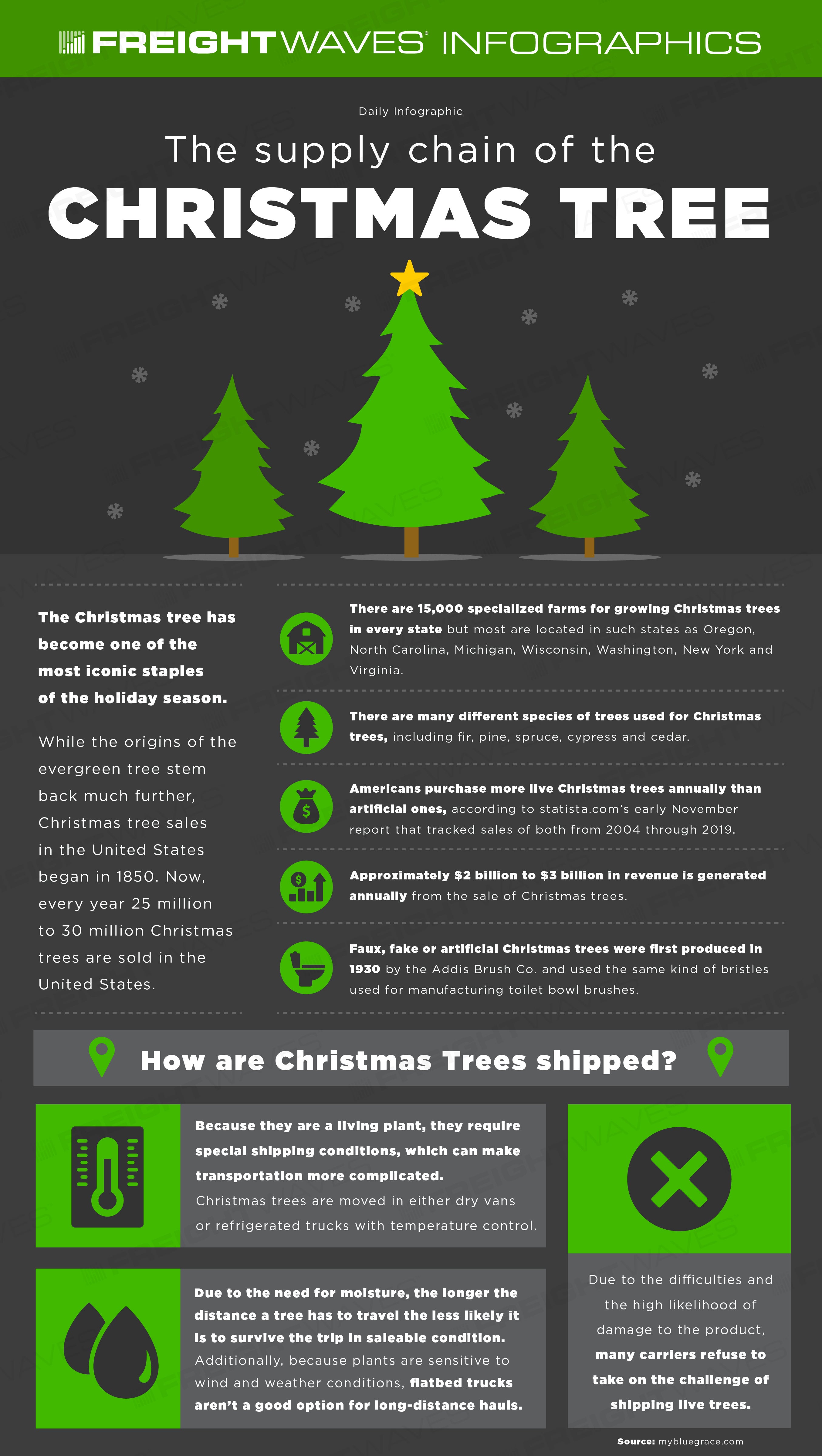 Daily Infographic: The supply chain of the Christmas tree - FreightWaves