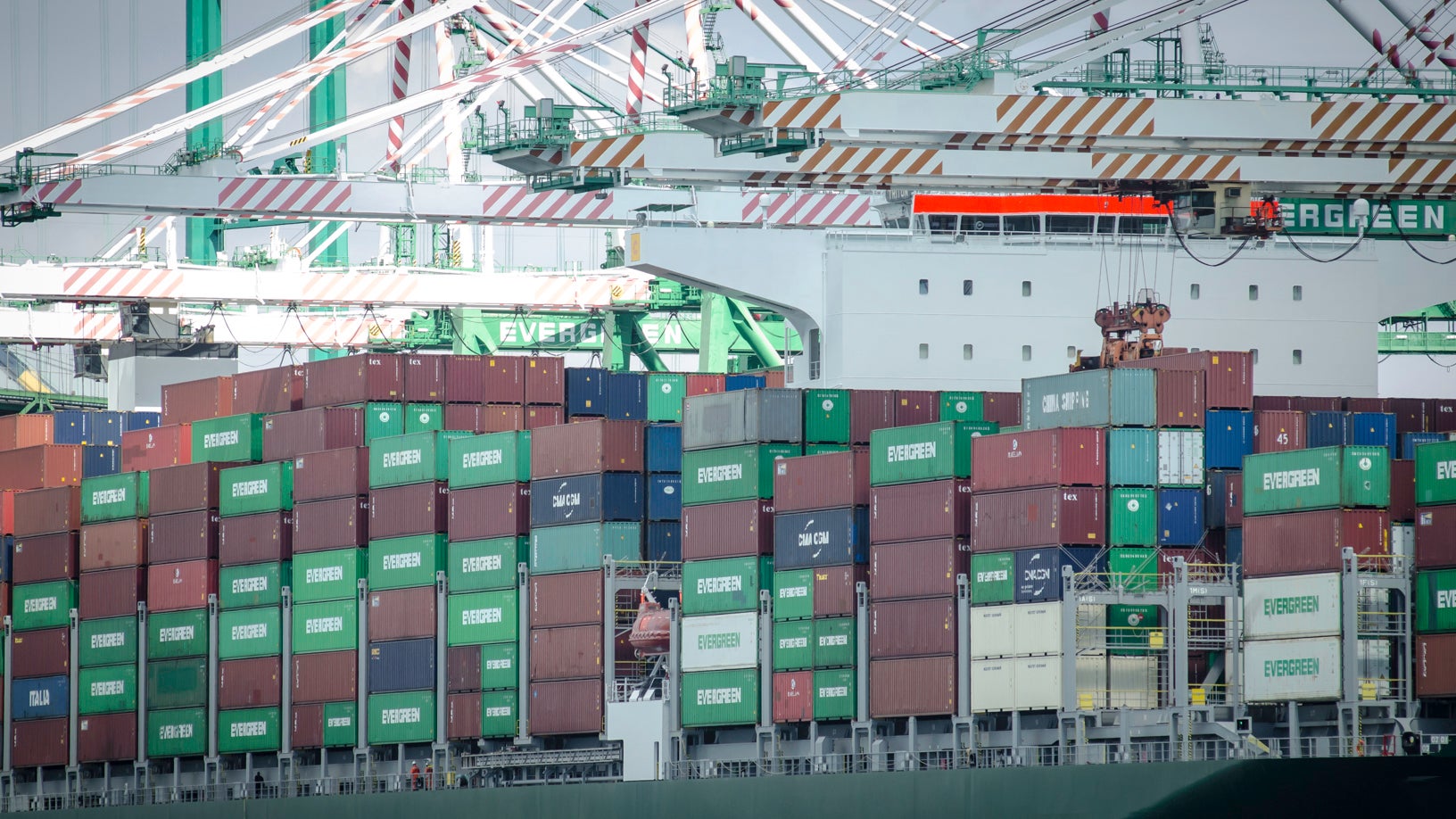 TIA calls for resolution to ILA labor dispute as holiday season nears ...